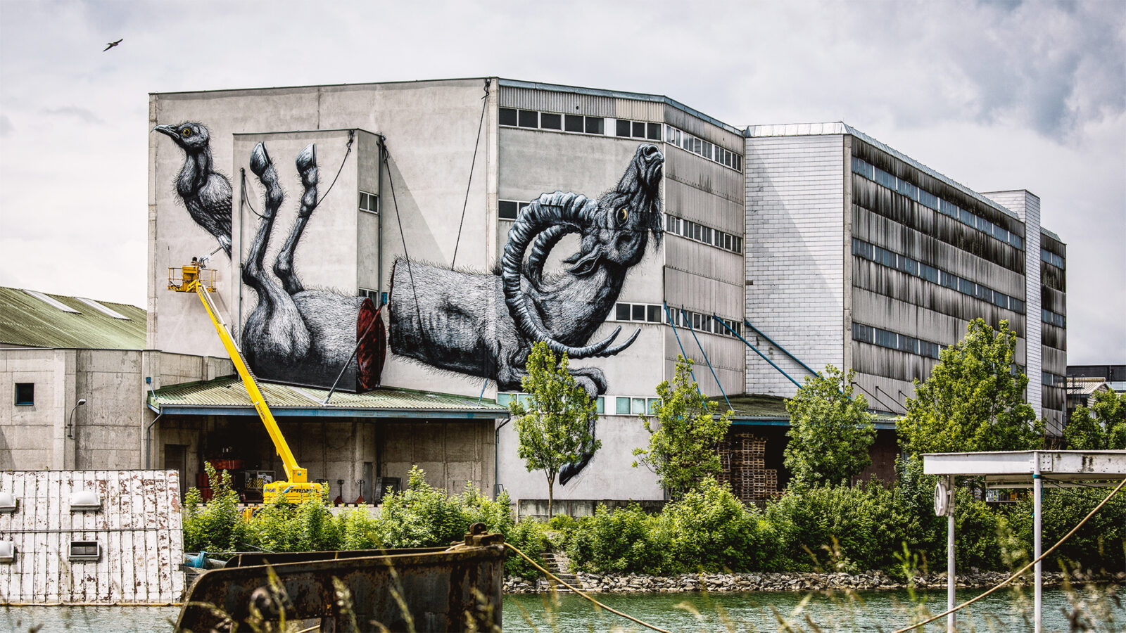 Mural Walk Nord - Mural Harbor Gallery