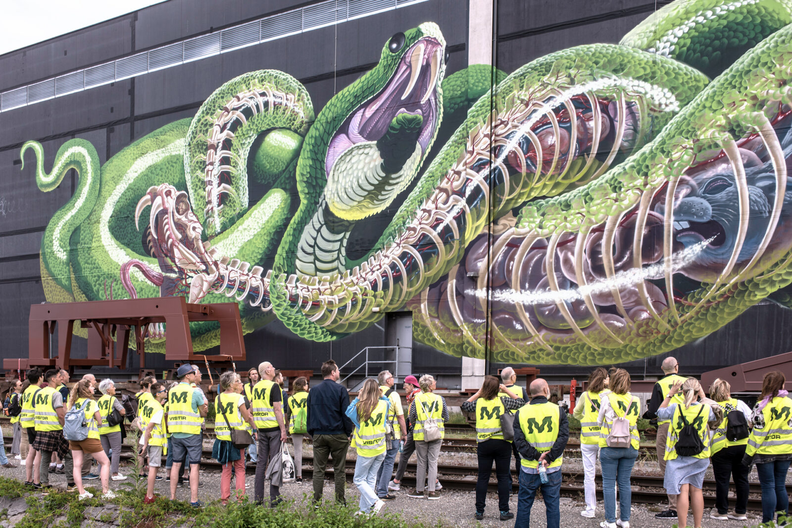 Insights - Mural Harbor Gallery